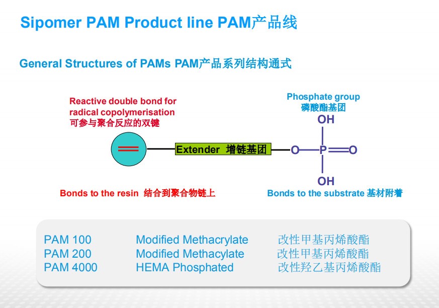 索尔维湿附着力促进单体PAM100/200
