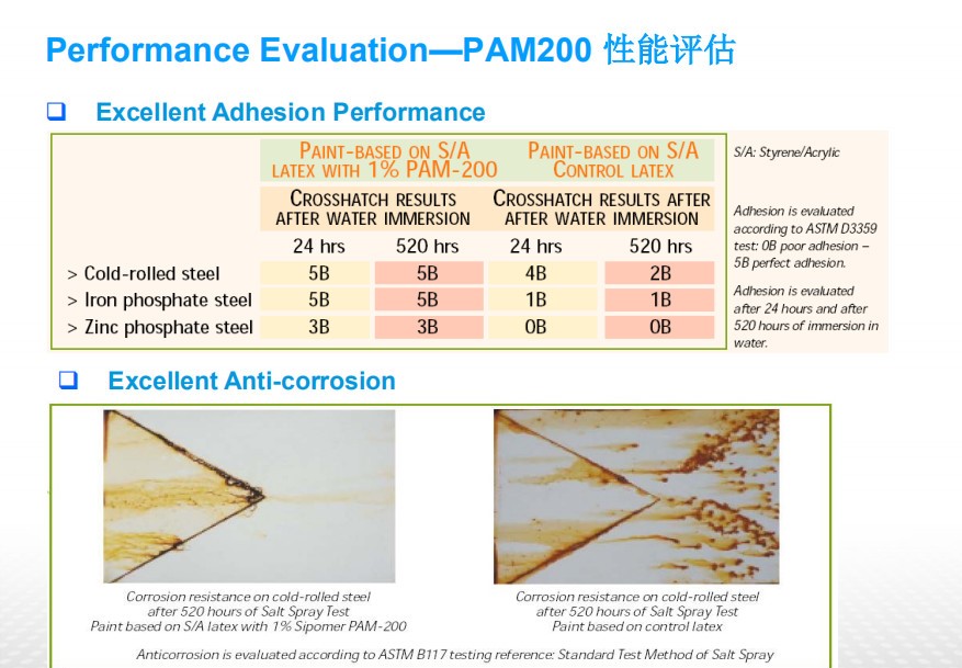 索尔维湿附着力促进单体PAM100/200